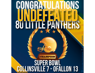 Home [www.littlepanthers.com]